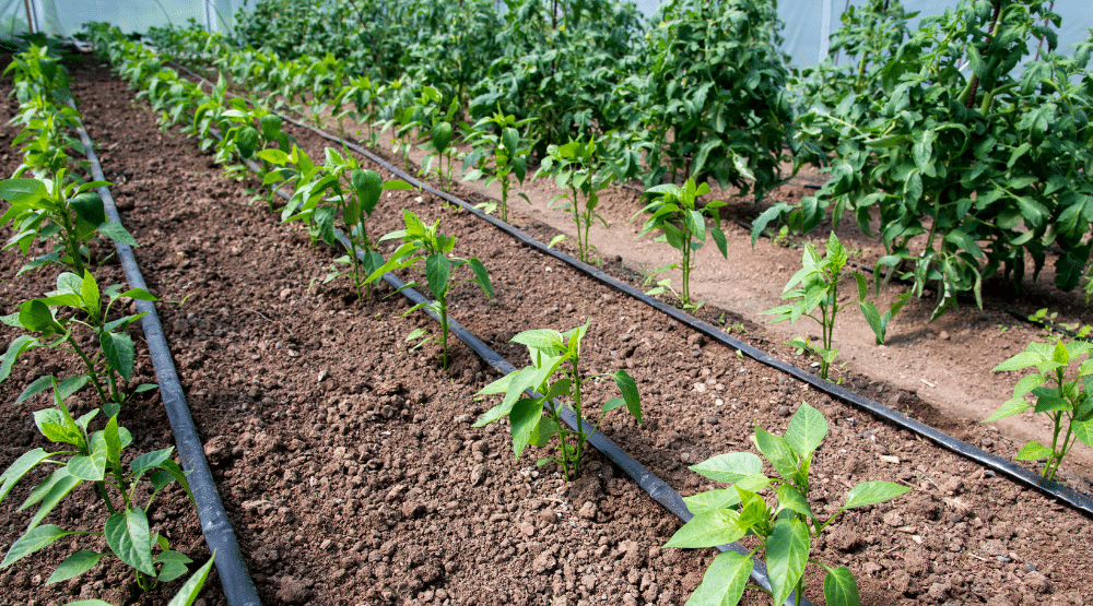 Irrigatie - Omniplast